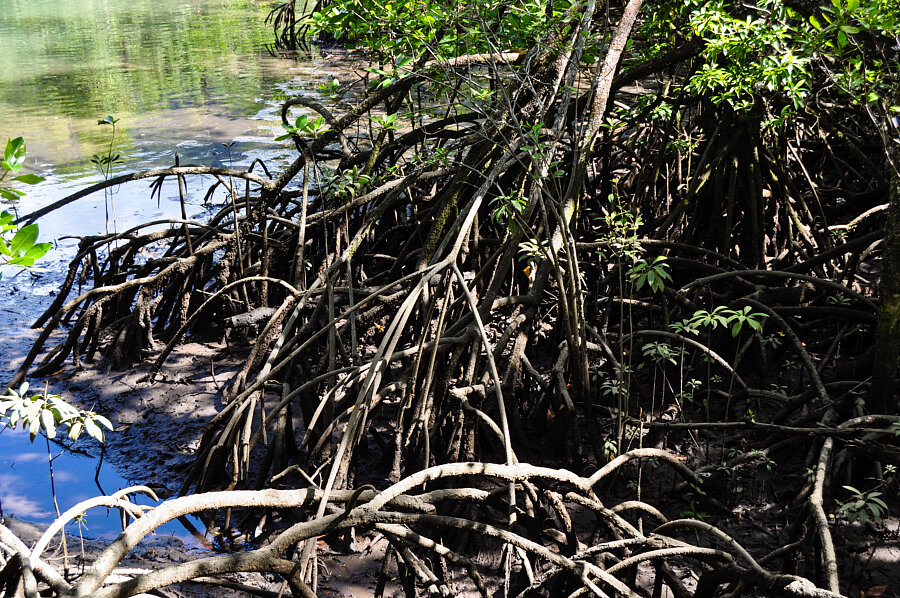 Cooktown to Cairns - Cairns Holiday Homes